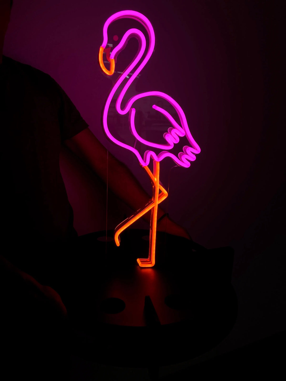 Porta shots flamingo — Electric Neon